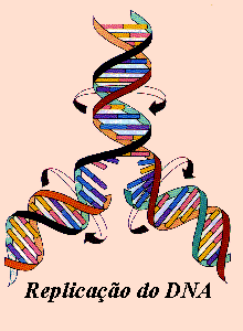 Geologia e Biologia: Replicação do DNA